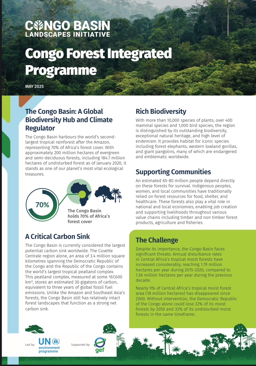 Congo Forest Integrated Programme | Congo Basin Landscapes Initiative